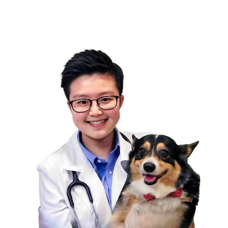Dr. Ruby Ng - Canada West Veterinary Specialists